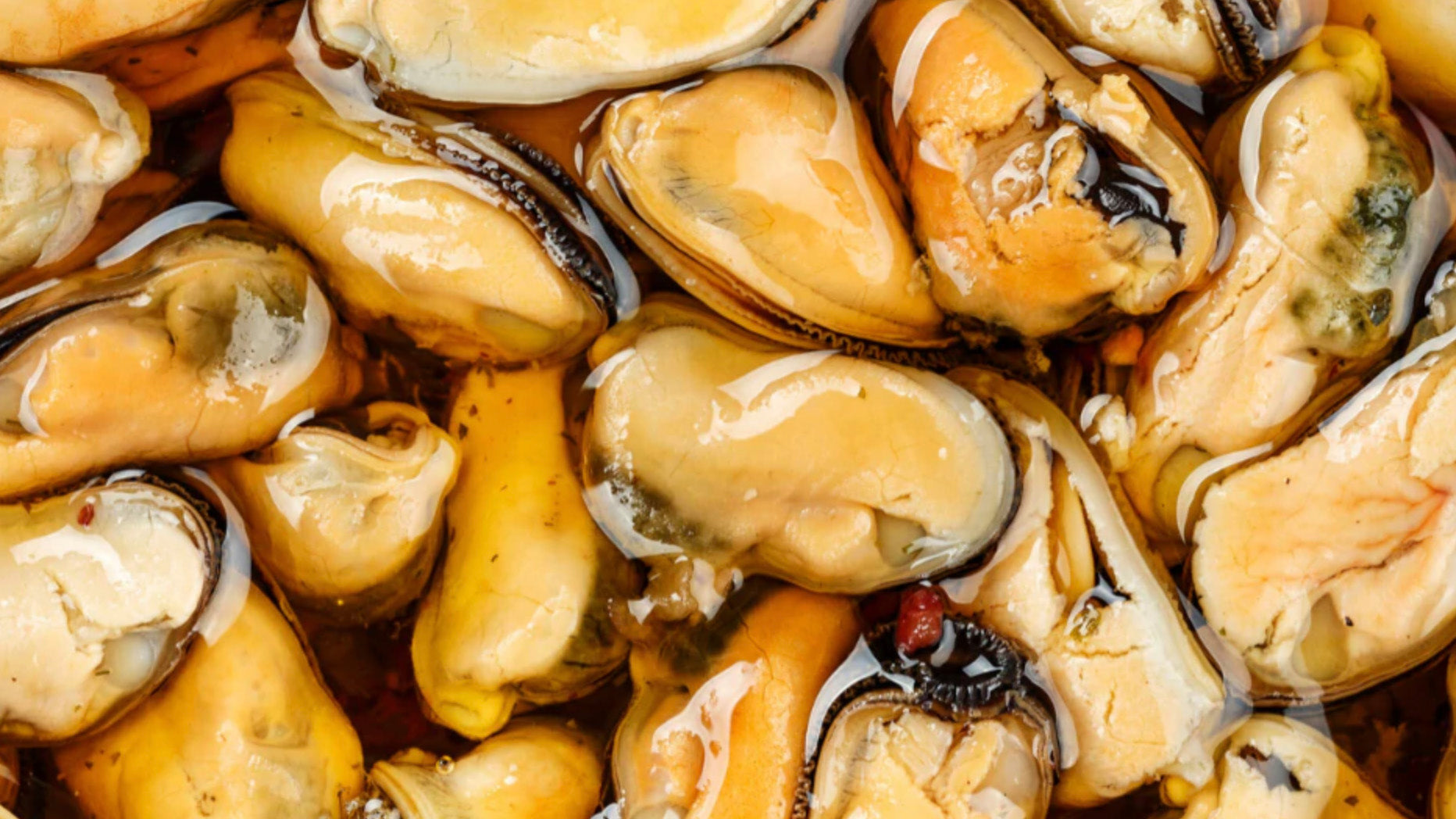 Mussels – aquafresh.co.nz