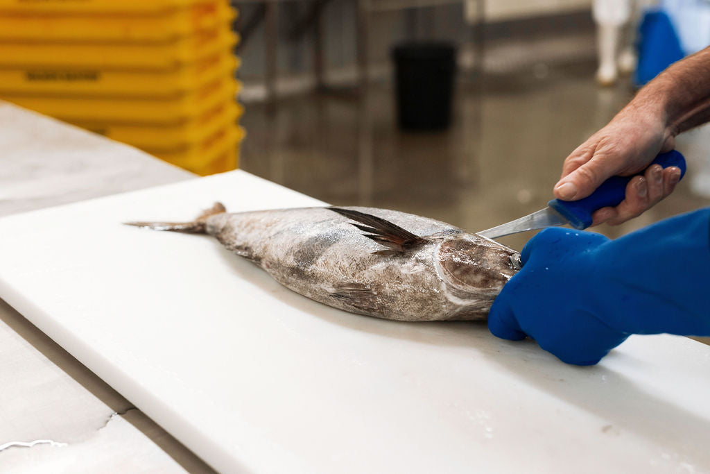 About Us – aquafresh.co.nz