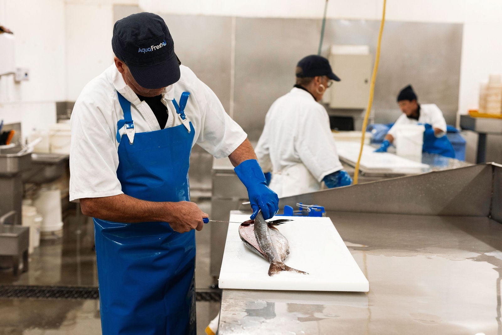 About Us – aquafresh.co.nz